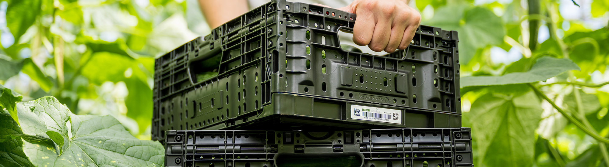 WBG Pooling - Runden Group